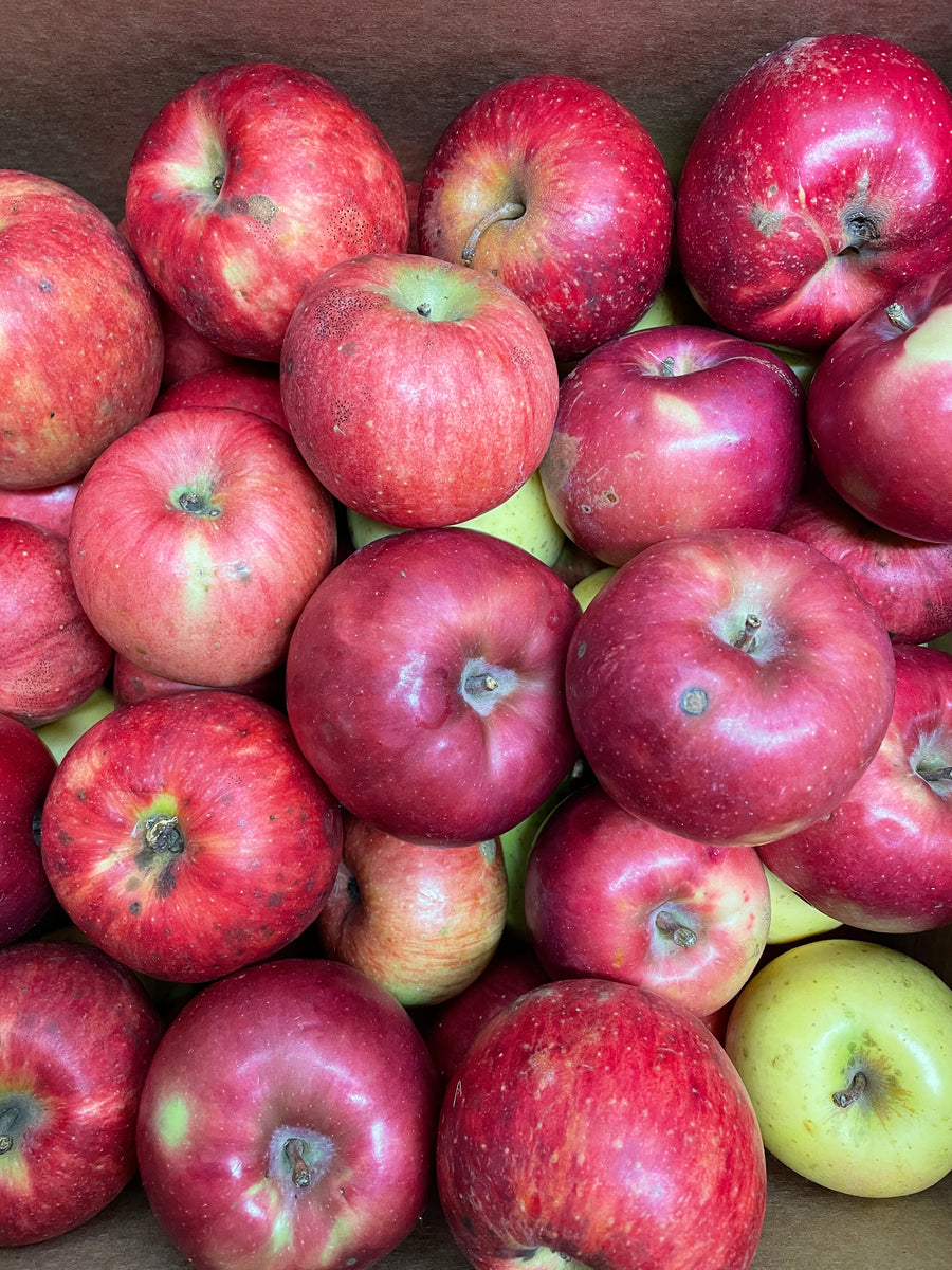 **BULK PRE-ORDER** 2nd Apples - 21# Box **CHOOSE PICKUP DATE** – Common ...