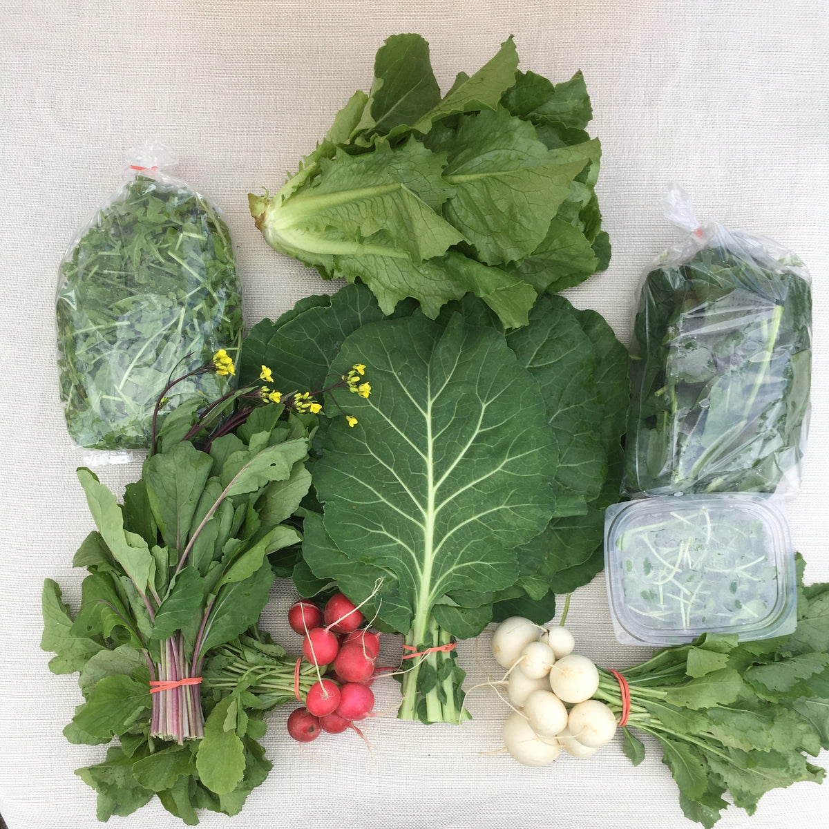 2025 CSA SHARES – Common Root Farm