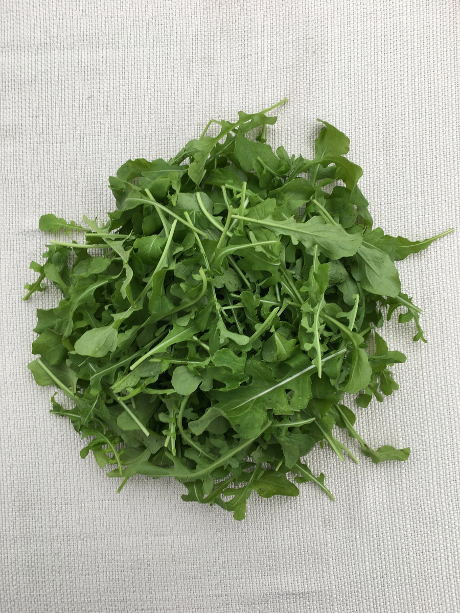 Arugula - 5 oz – Common Root Farm