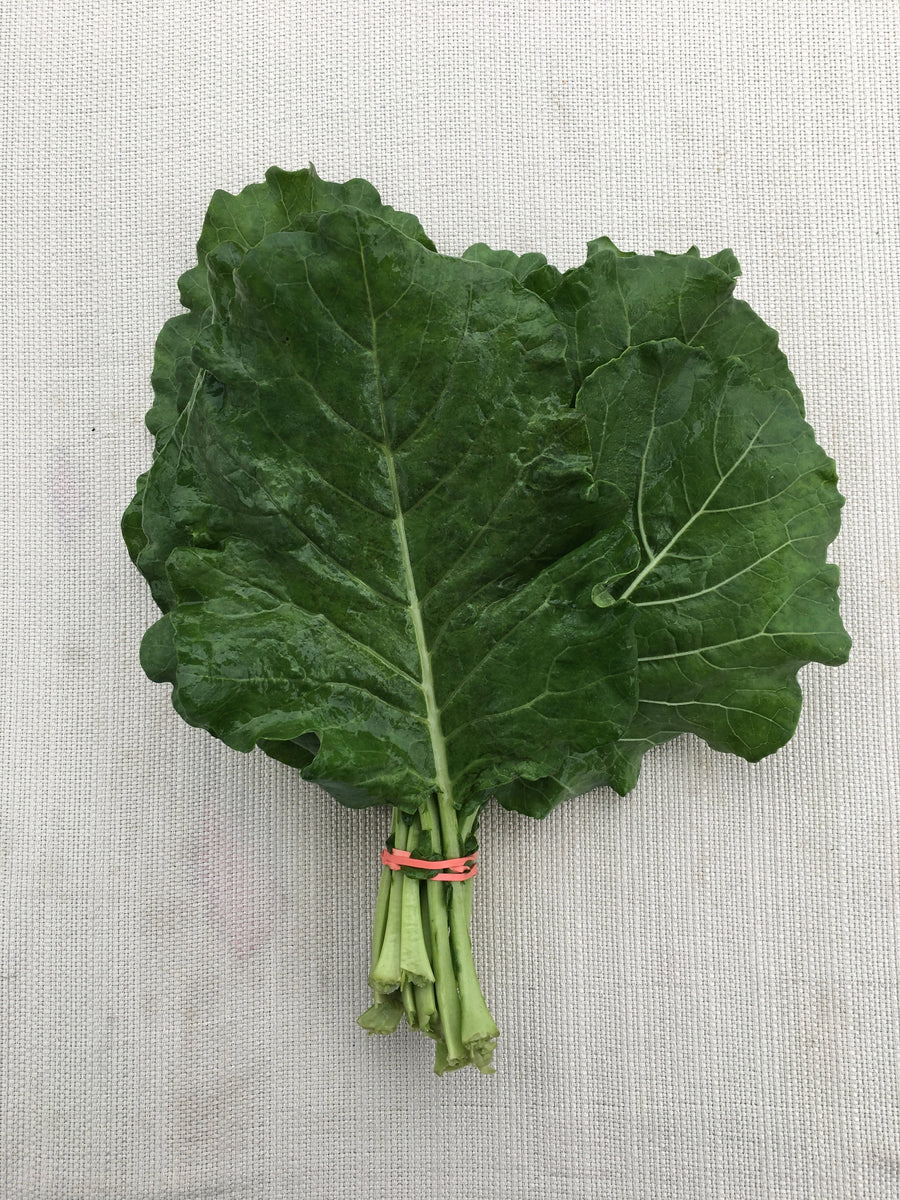 POS Collard Greens - 1 Bunch – Common Root Farm
